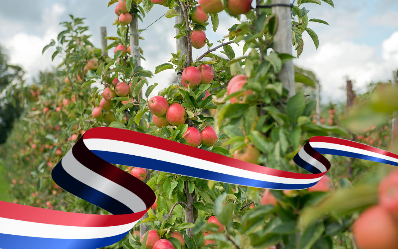 Koninklijk Paar brengt streekbezoek aan FruitMasters – FruitMasters