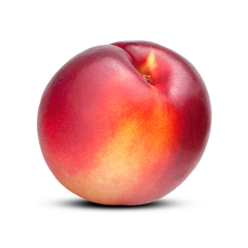 Nectarine – FruitMasters