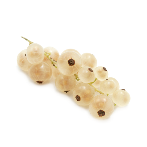 Witte bes – FruitMasters