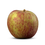 Fuji – FruitMasters