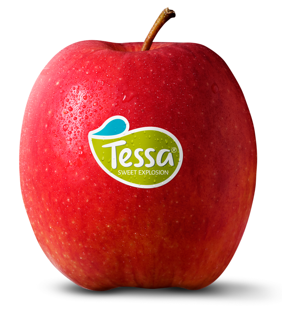 Tessa® – FruitMasters