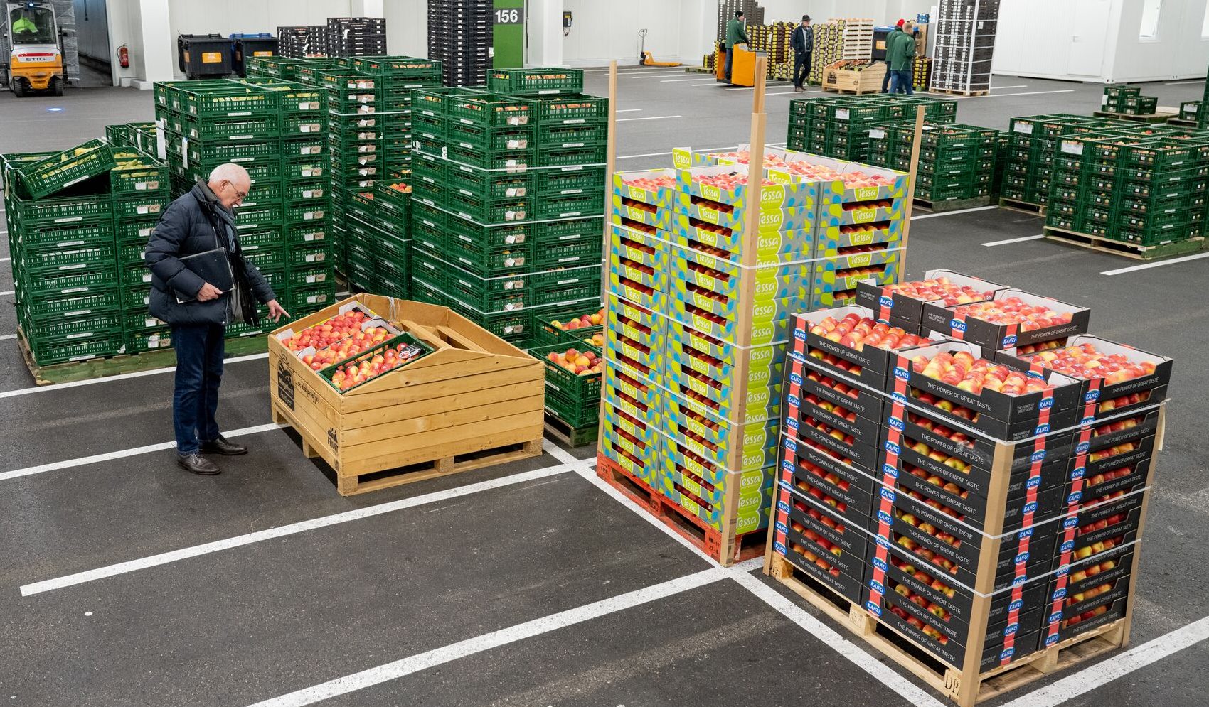 Groothandel – FruitMasters