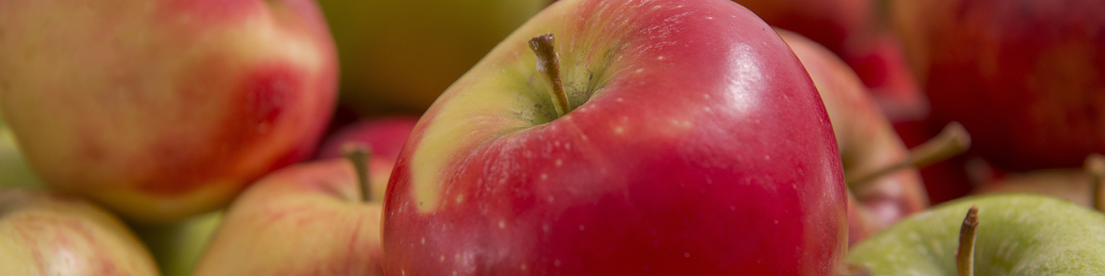 Apples – Fruitmasters