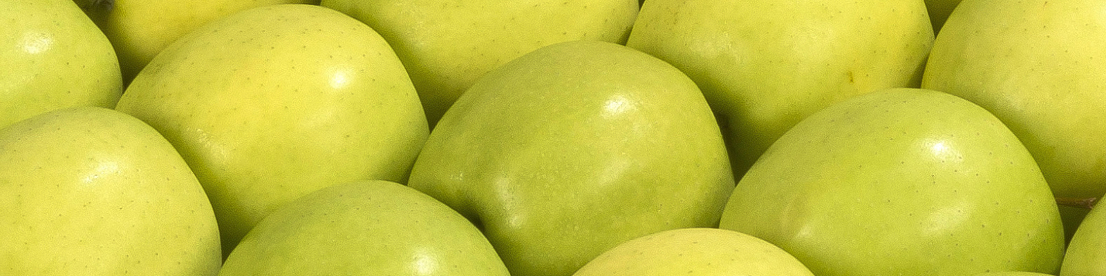 Golden Delicious – Fruitmasters