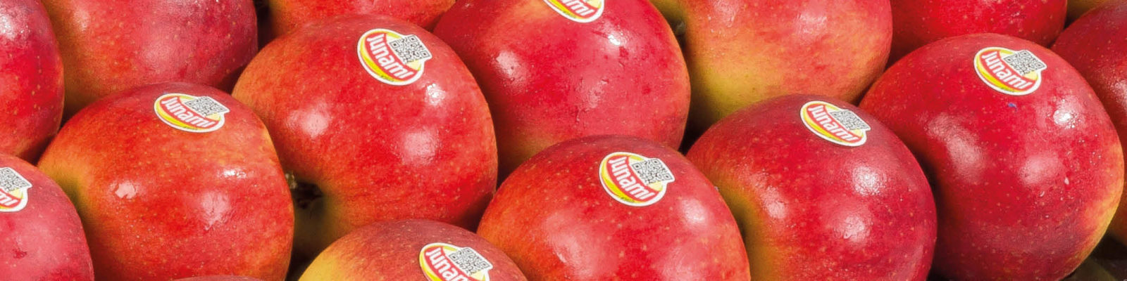 Junami® – Fruitmasters