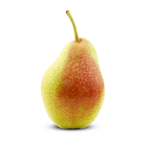 Forel – Fruitmasters