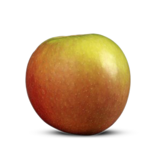 Sweet Caroline – Fruitmasters